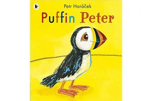 Puffin Peter : Teaching Ideas - An Lanntair